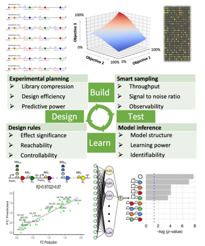 AI-based genetic circuit design – Pablo Carbonell
