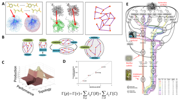 Exploring the extended metabolic space – Pablo Carbonell